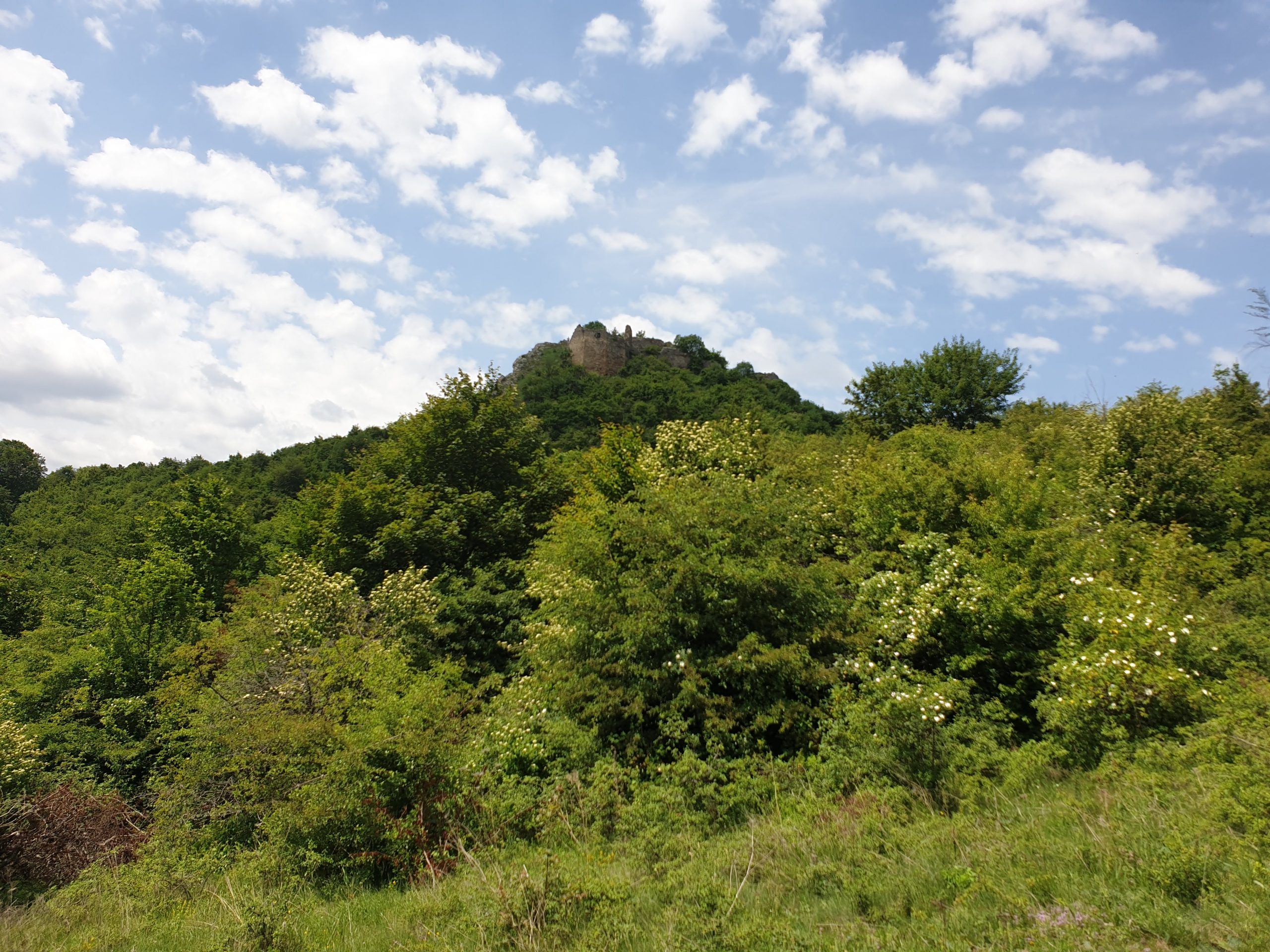GALERIE FOTO: Liteni, cetatea neștiută a lui Gelu