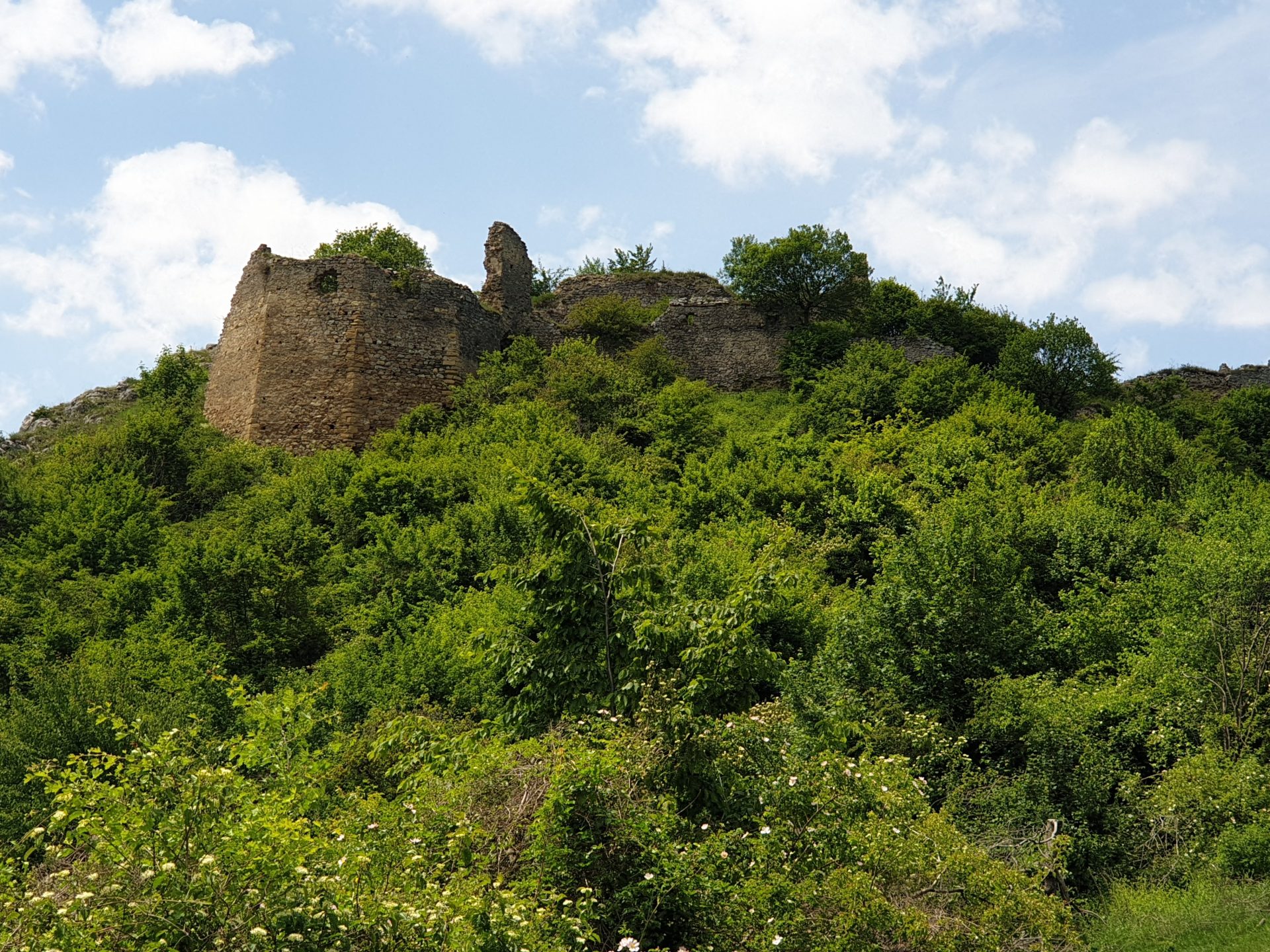 GALERIE FOTO: Liteni, cetatea neștiută a lui Gelu