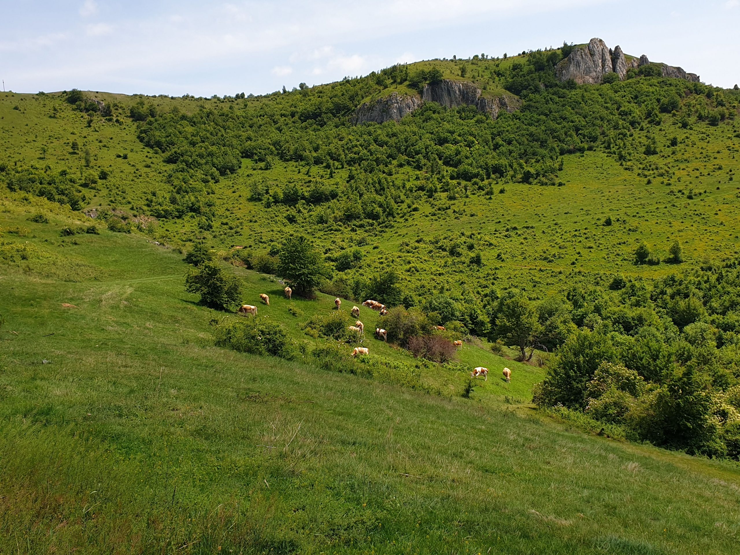 GALERIE FOTO: Liteni, cetatea neștiută a lui Gelu