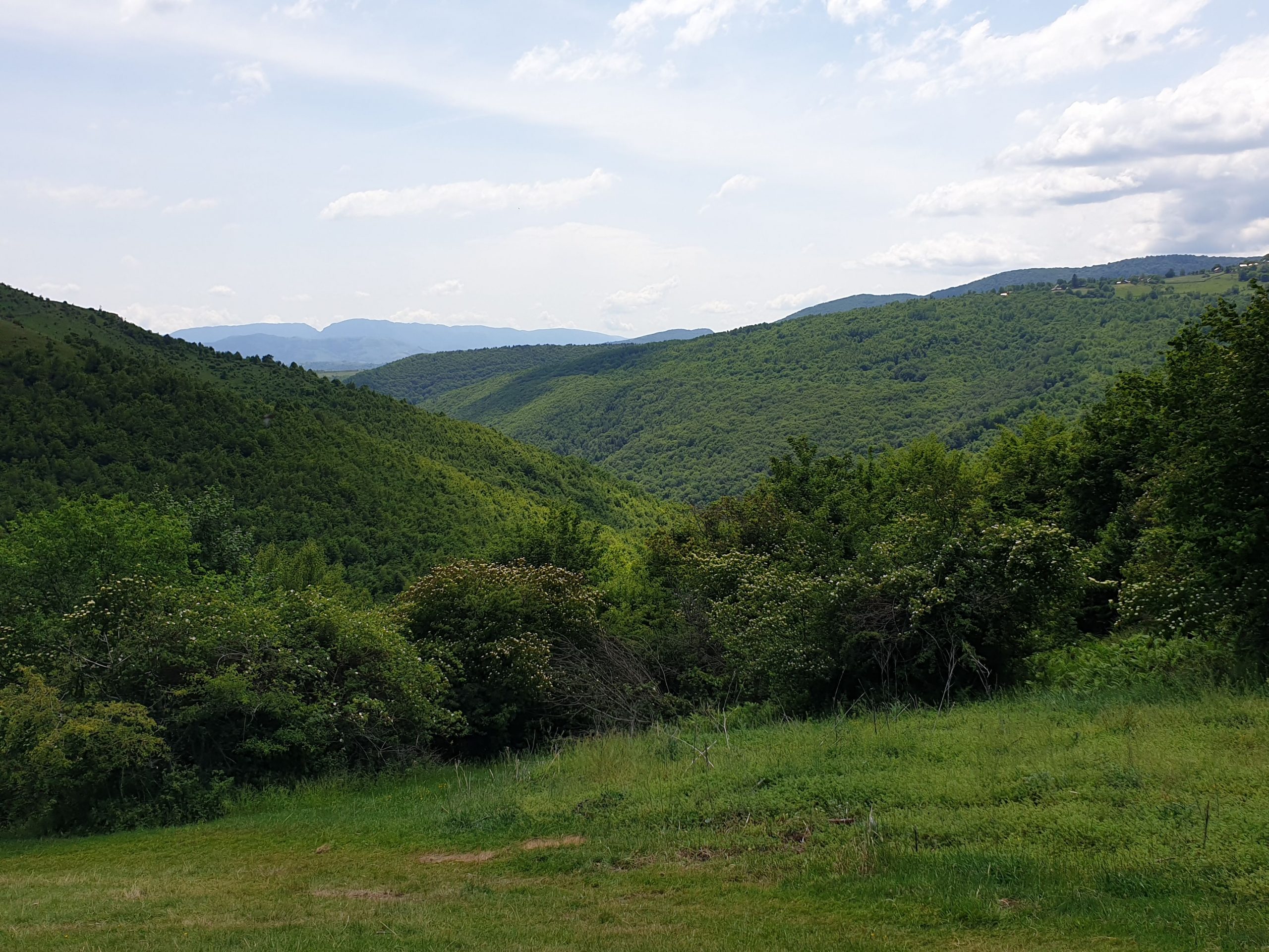 GALERIE FOTO: Liteni, cetatea neștiută a lui Gelu