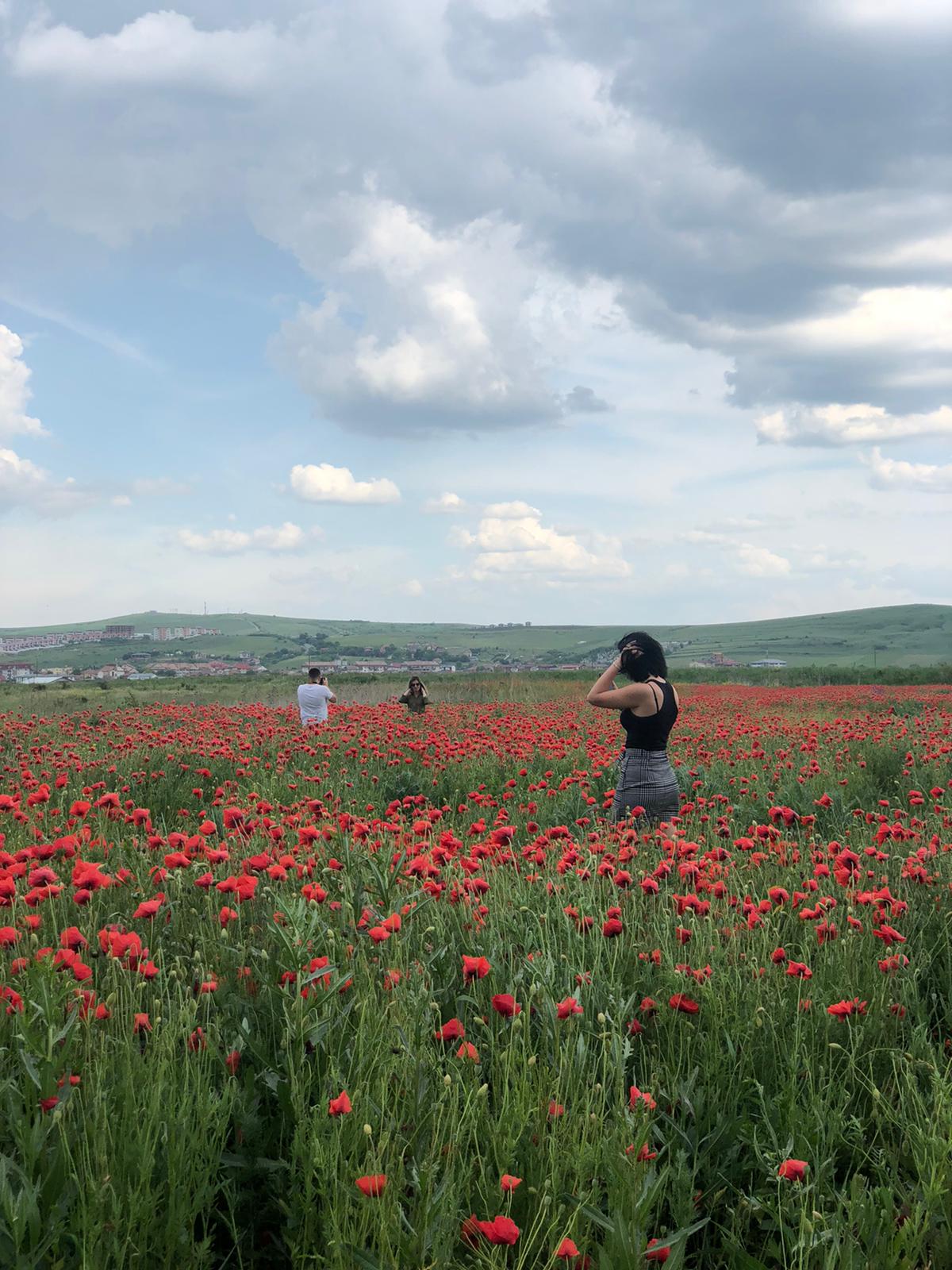 FOTO Noua modă. Fotografii în lanul cu maci