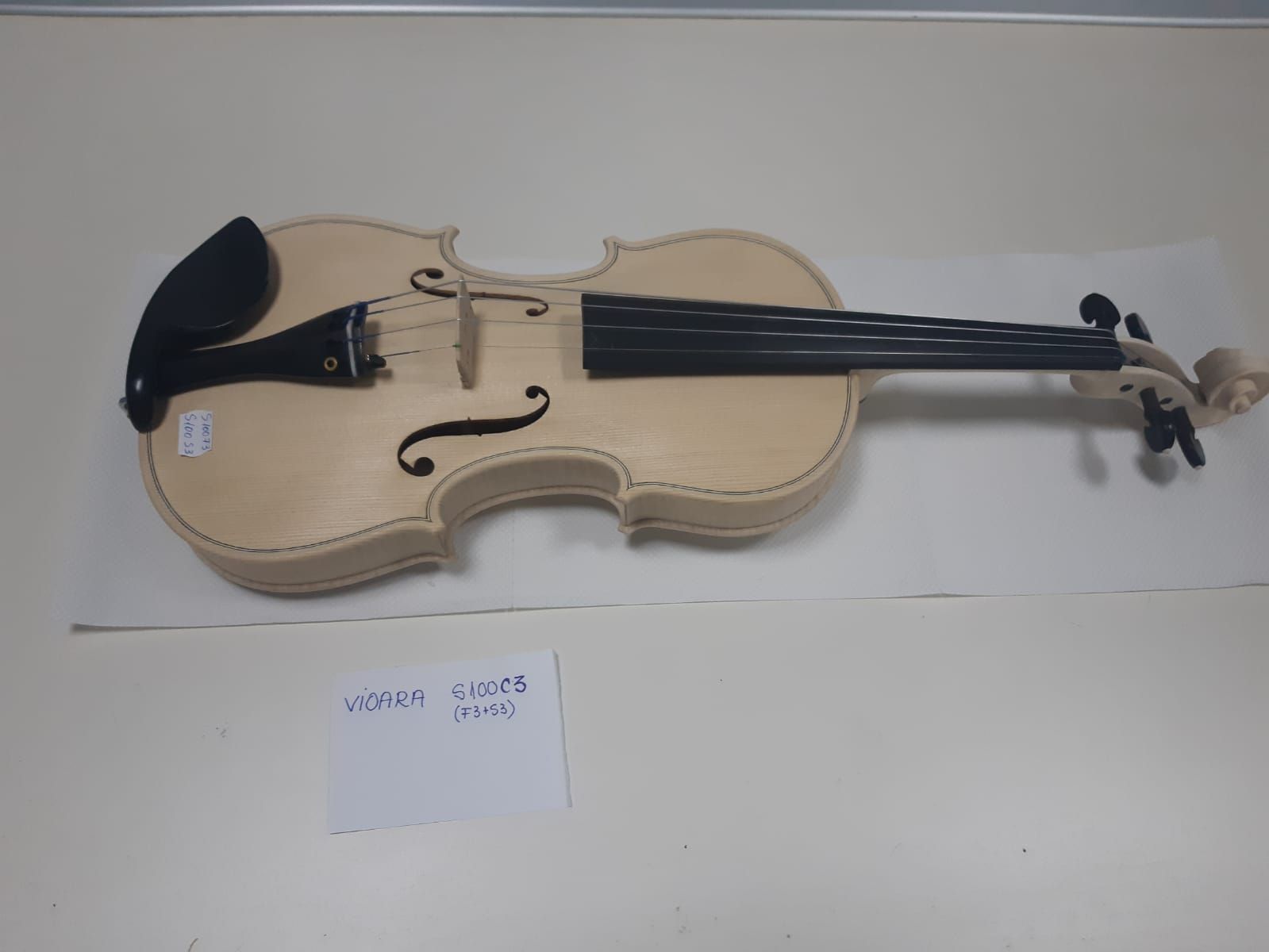 FOTO: Viori vechi de sute de ani, scanate cu computerul tomograf la ...