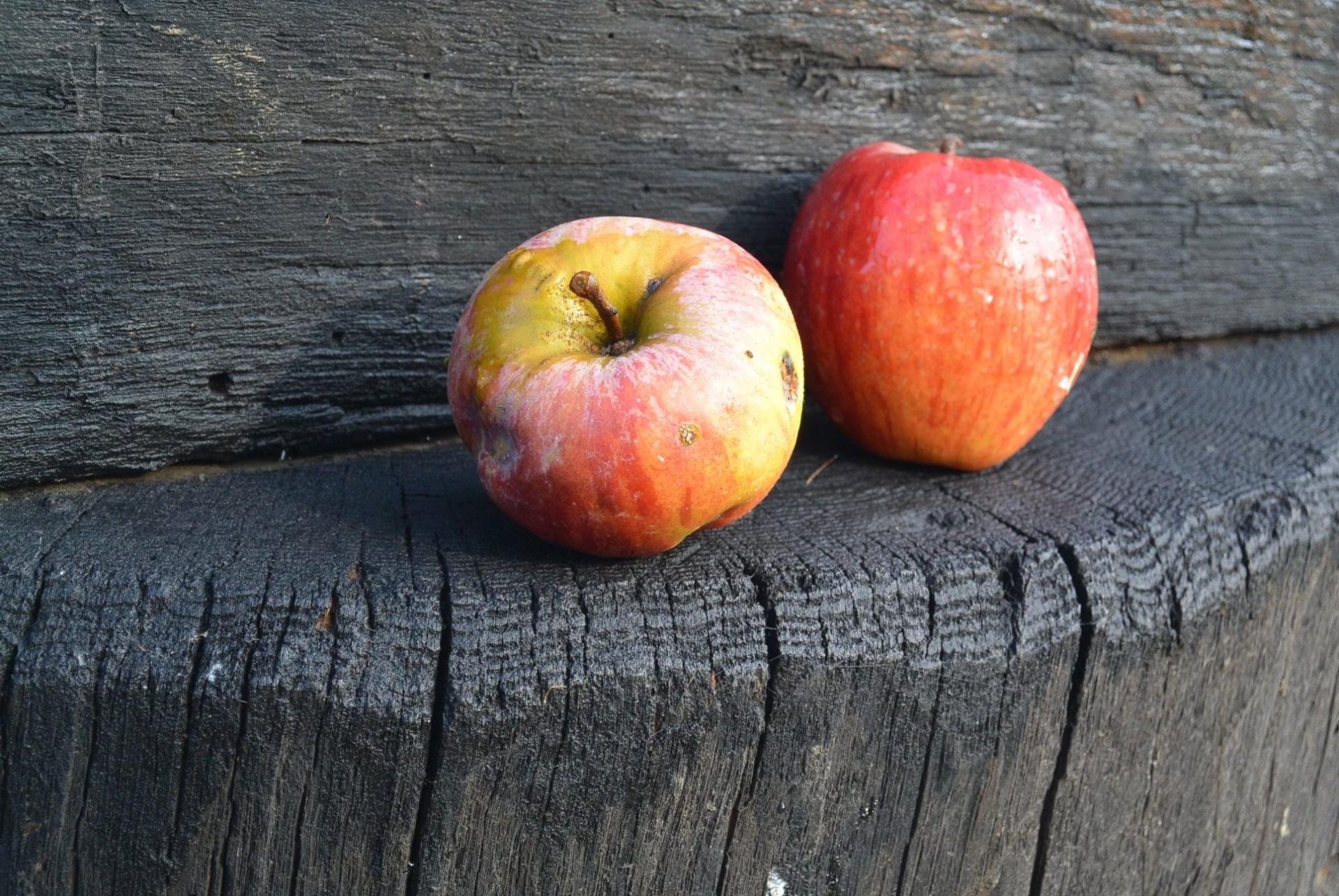 GALERIE FOTO | Toamna în parc