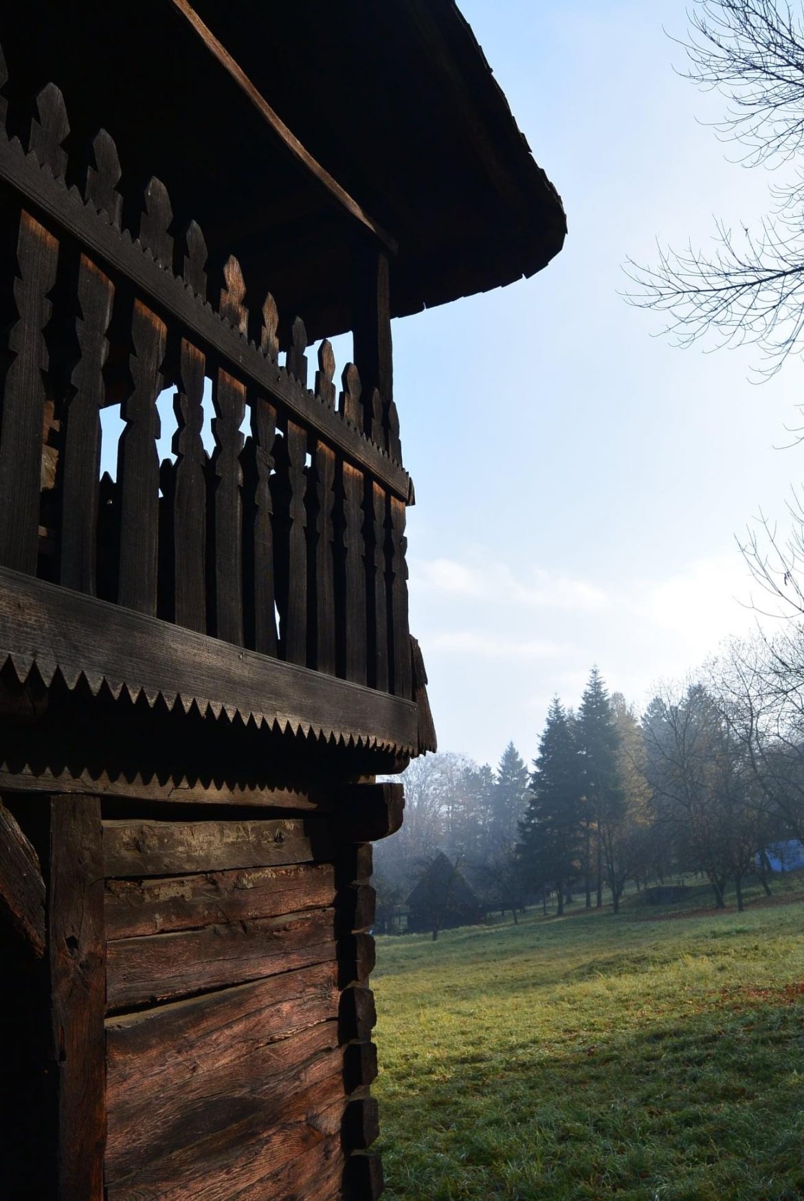 GALERIE FOTO | Toamna în parc